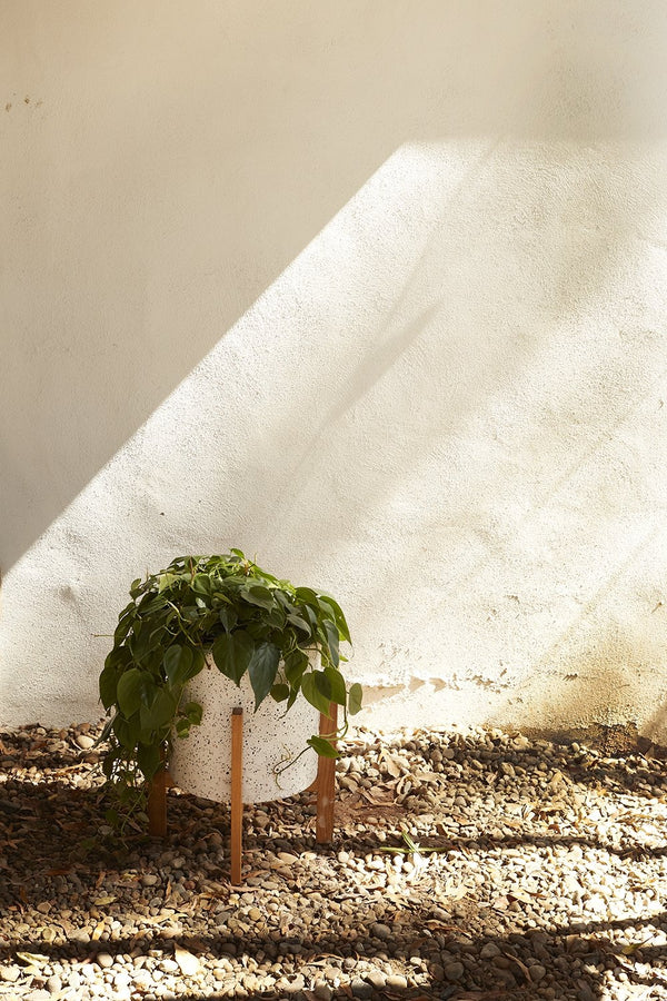 Dale Plant Stand By Accent Decor | MapleNest